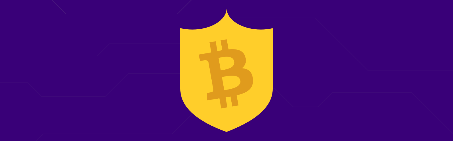 Crypto Insurance: What It Is and Why You Need It